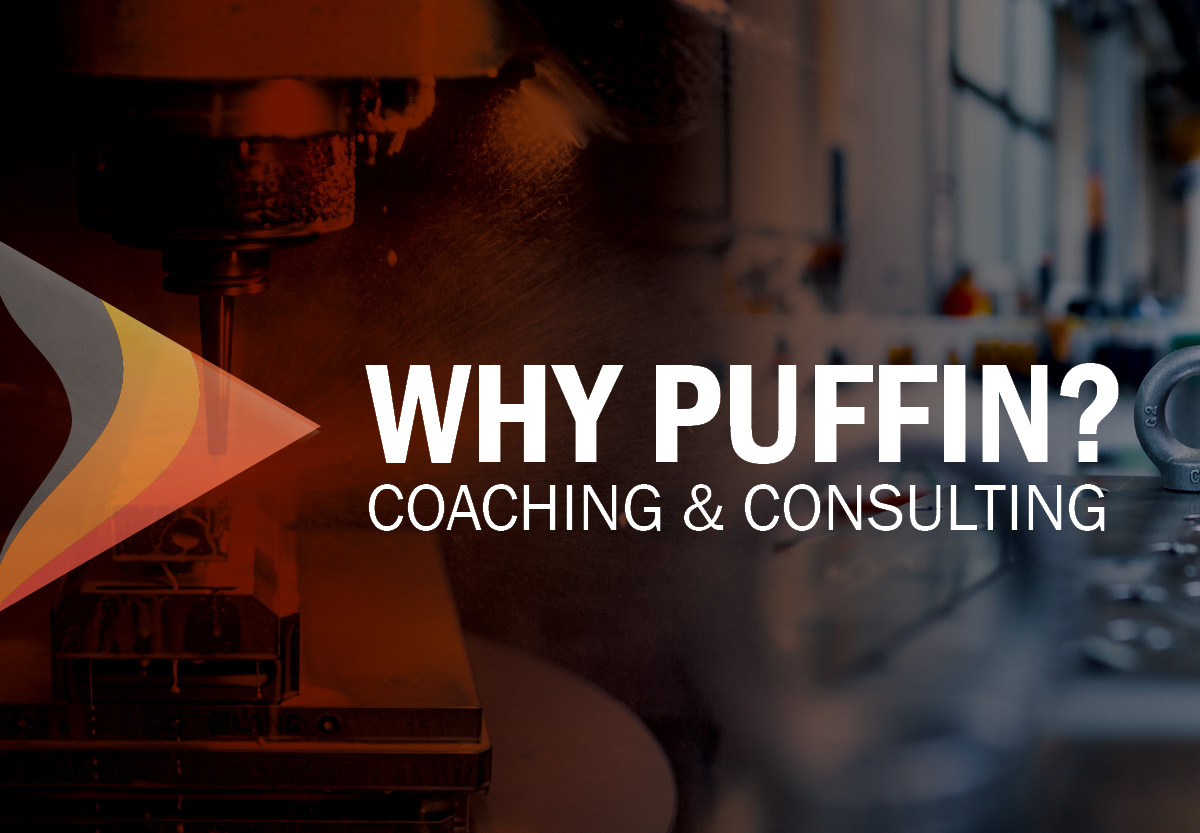 HOME | Puffin Coaching & Consulting